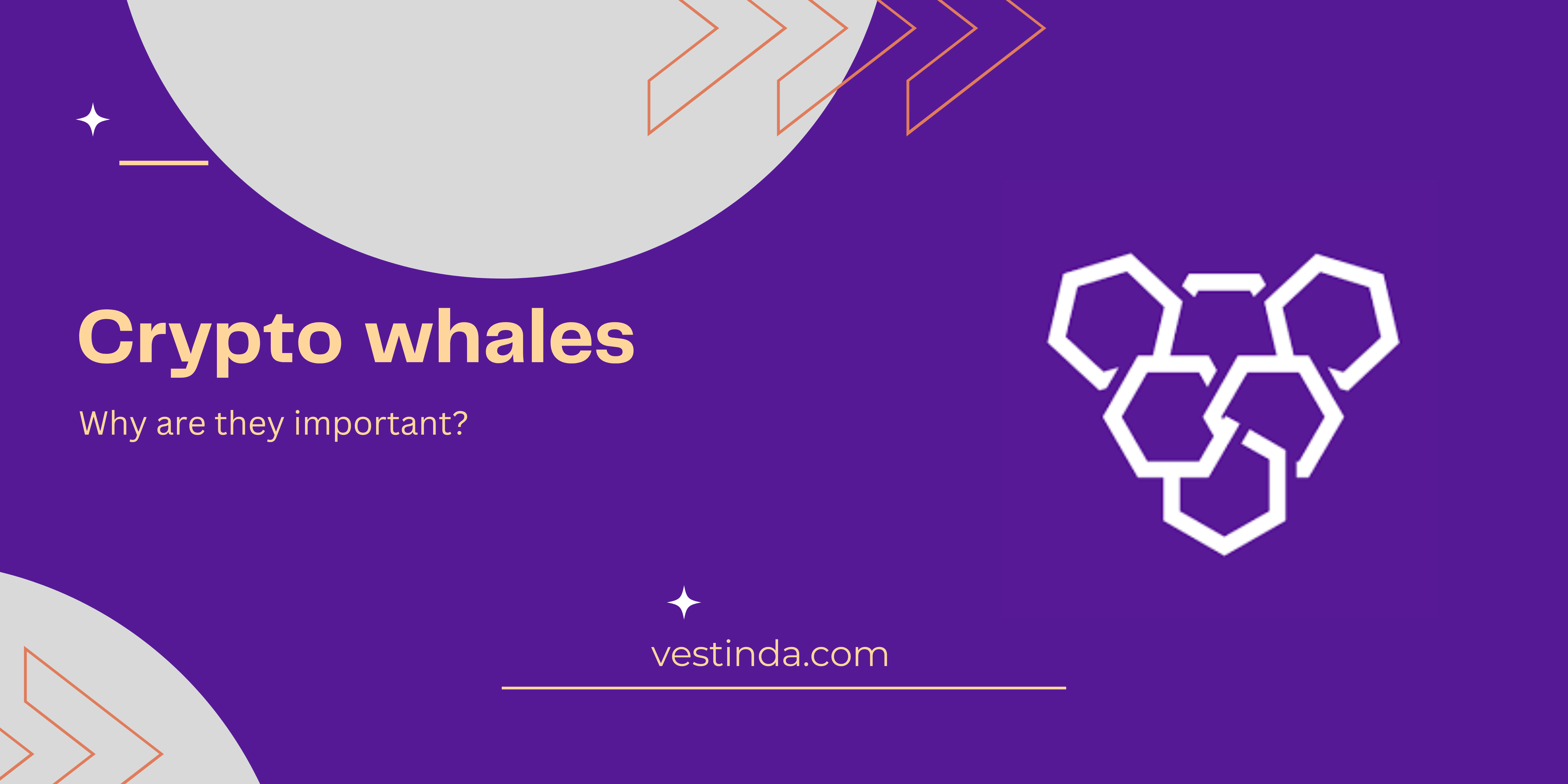 What is a crypto whale and why are they important?